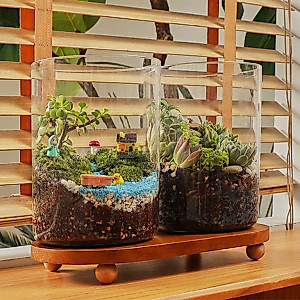 FavorFlavor Glass Jars with Airtight Lids Set of 2 101OZ Canister Sets for Kitchen Counter Flour Glass Storage Containers with Wooden Lid and a Tray for Kitchen or Laundry Room