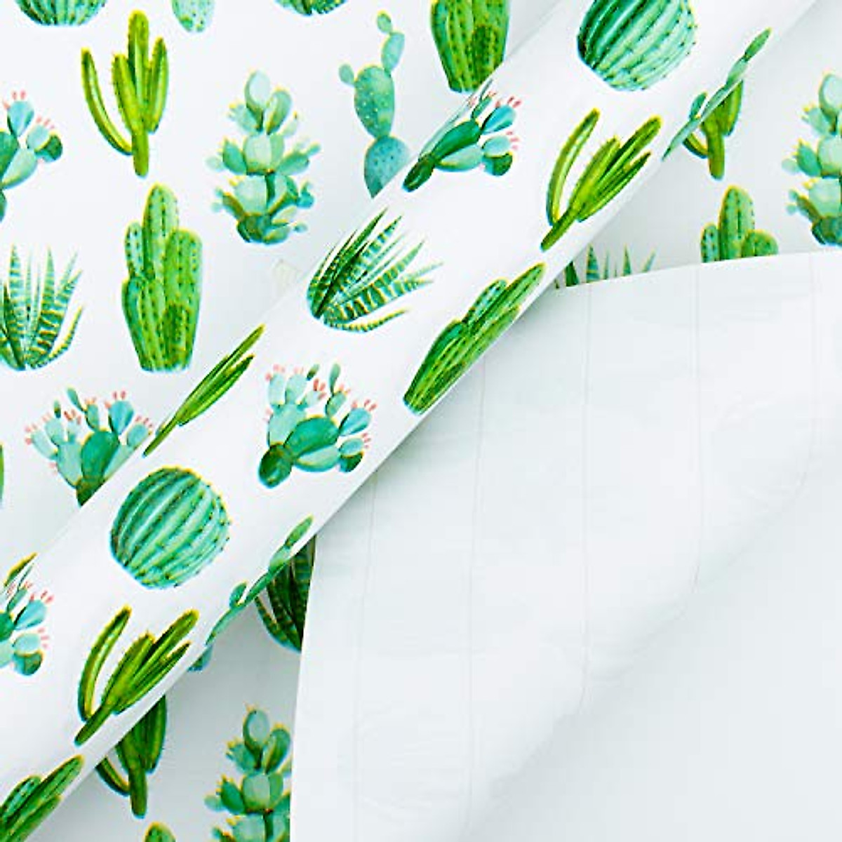 WRAPAHOLIC Wrapping Paper Roll - Watercolor Cactus Print for Wedding, Birthday, Holiday, Baby Shower Wrap - 30 inch x 33 feet
