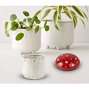 Mushroom Baking Soda Holder For Fridge Deodorizer Ceramic Baking Soda Fridge Holder Odor Absorber Container Smell Remover Cute Fridge Deodorizer Refrigerator Odor Eliminator(No Soda)