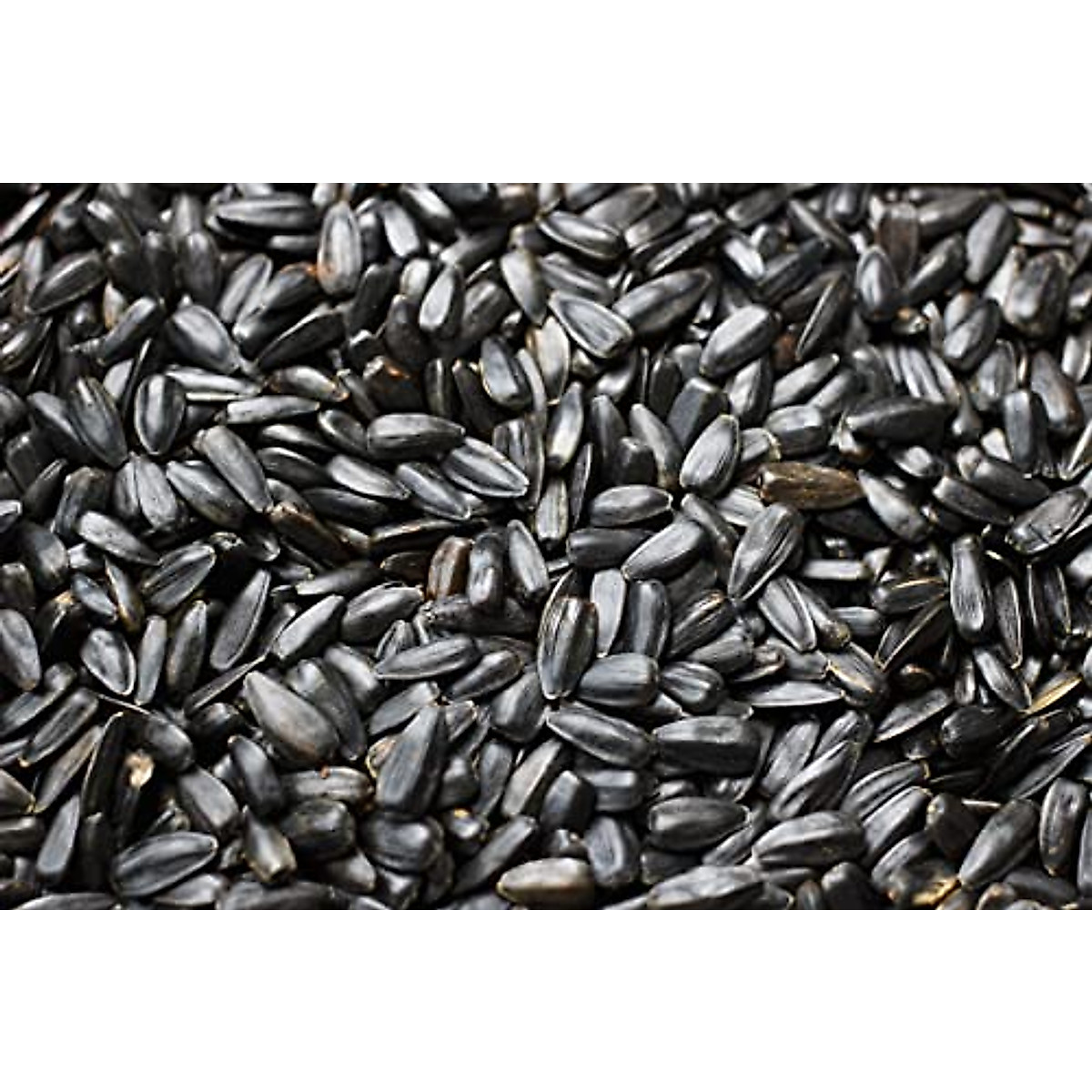 Flying Colors Premium Organic Wild Bird Seed | Black Oil Sunflower Seed | USDA Organic Ingredients | Best Seed for Backyard Bird Feeders | 3 Gallon Easy-Pour Carton