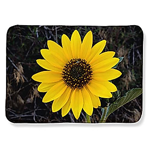 SOFERI Sunflower Rug Children Teen Bedroom Rug Flower Rug Beautiful Living Room Bathroom Kitchen Large Area Rug Non-Slip Floor Mat Sunflower 16 "x24