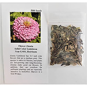 David's Garden Seeds Flower Zinnia Solid Color Luminosa FBA-1164 (Pink) 200 Non-GMO, Heirloom Seeds