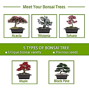 Meekear Indoor Starter Kit with Complete Planting Tools, Gardening DIY Gift for Plant Lovers