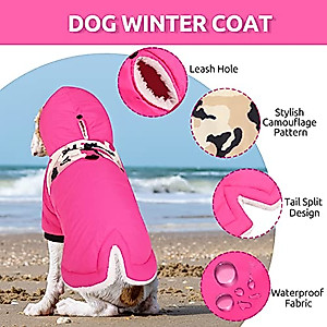 Queenmore Warm Dog Winter Coat, Cold Weather Waterproof Dog Snow Jacket, Reflective Dog Hoodie with Long Sleeves for Small Medium and Large Dogs