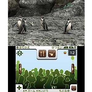 Animal Resort: Dobutsuen o Tsukurou!! [Japan Import]