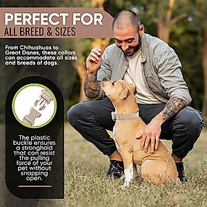 DCSP Pets - Dog Collar – Heavy-Duty Dog Collar for Small Dogs, Medium and Large – Eco-Friendly Natural Fabric – Durable and Skin-Friendly – Soft Dog Collar for All Breeds (Medium, Khaki)