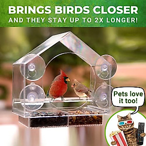 Nature Anywhere Premium Clear Plastic Window Bird Feeder for Outside - Window Bird Feeders with Strong Suction Cups - Transparent Bird Feeder Window Mount Acrylic Bird House for Cat Window Perch