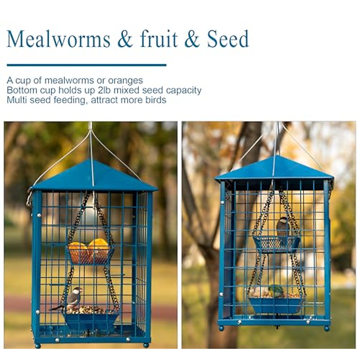 Mealworms Bird Feeders for Bluebirds - Metal - Huge Caged Squirrel-proof Bird Feeders with 2 Cups, DIY Wild Bird Feeders Outdoor Hanging (Blue), Attract Small Birds, 2lbs Seed Capacity+1 Mealworms Cup