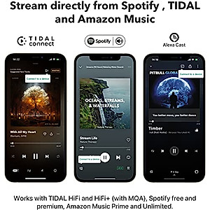 WiiM Pro AirPlay 2 Receiver, Chromecast Audio, WiFi Multiroom Streamer, Compatible with Alexa, Siri and Google Assistant, Stream Hi-Res Audio from Spotify, Amazon Music, Tidal and More