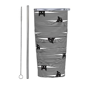 CHASOEA Cat Tumbler 20oz Cute Cats Stainless Steel Insulated Tumblers with Lid and Straw Animal Travel Coffee Mug Tea Wine Cups Water Bottle Cats Gifts for Women Cat Lover