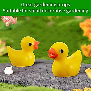 EKisemio 200 Pieces Mini Resin Ducks Yellow Tiny Duckies for School Project Accessories Miniature Characters Fairy Garden Landscape Aquarium Dollhouse Potted Plants Decorations