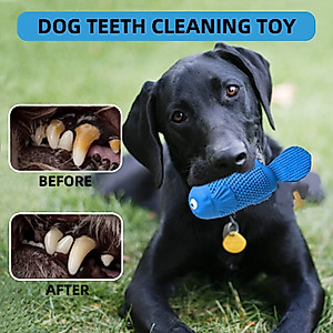 WinTour Dog Chew Toys for Aggressive Chewers, Squeaky Dog Toys, Almost Indestructible Dog Toys for Aggressive Chewers, Durable Tough Dog Toys for Medium Large Breed Dogs with Bacon Flavor