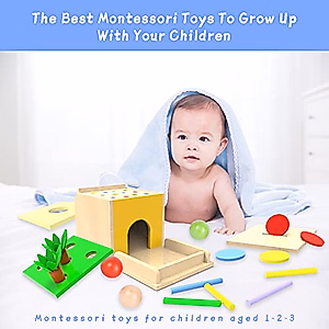 Adena Montessori 5 in 1 Object Permanence Box Toddler Play Kit Toys for 1 Year Old Babies 6-12 Months 2 Year Old