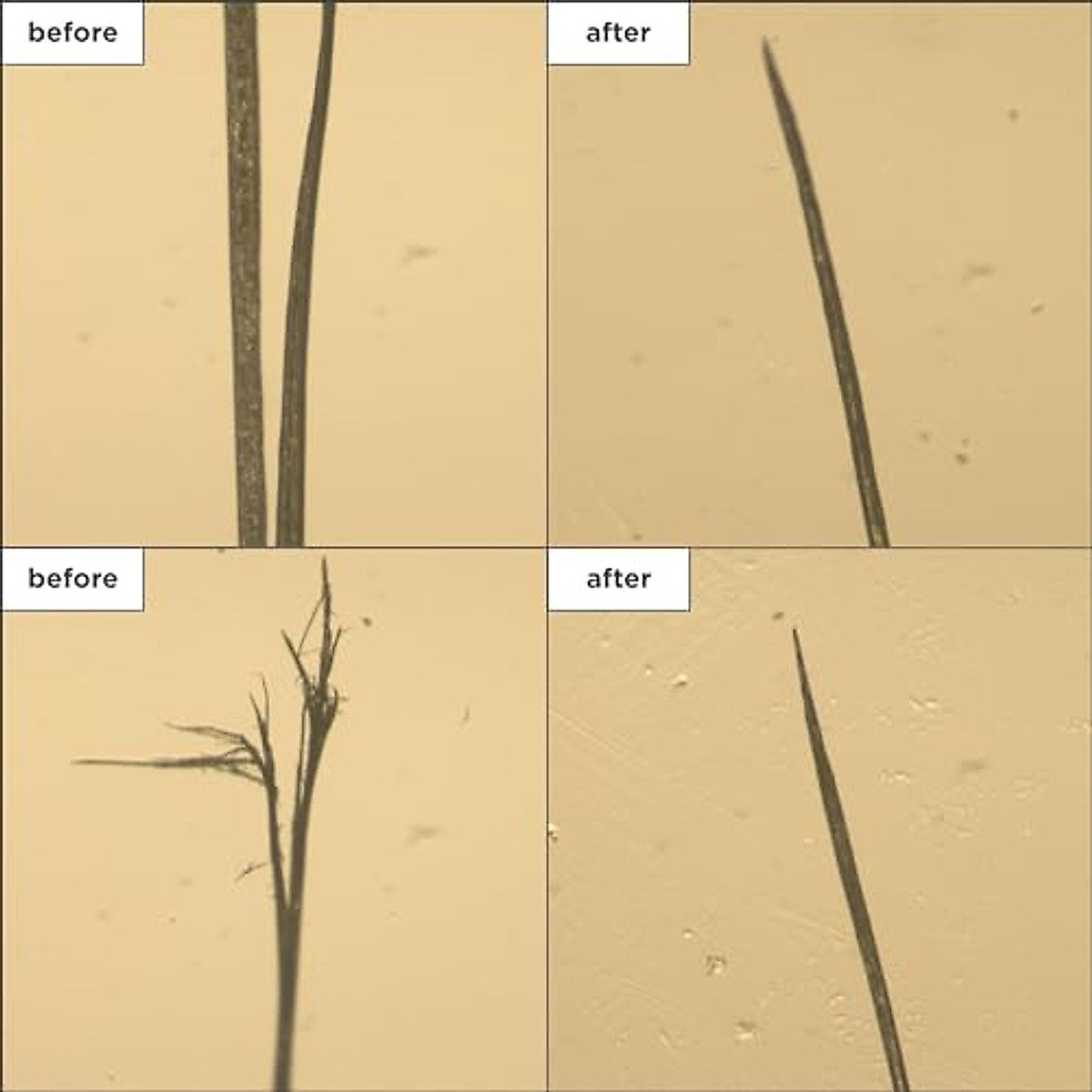 Briogeo Don't Despair, Repair! Strengthening Treatment Oil, Hair Oil Treatment for Dry, Damaged Hair, Helps Seal Split Ends, Enhances Shine, Hydrates, Nourishes, Vegan, Cruelty-Free, 1 fl oz