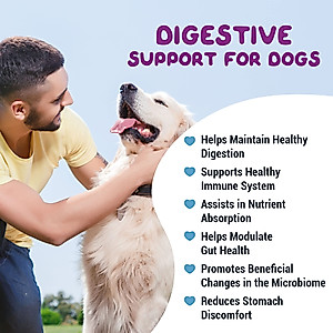 Healthy Dog World Digestive Chews with Enzymes - Probiotics for Dogs - Probiotic for Gut Flora, Digestive Health - Relieves Dogs Diarrhea - Bowel Support - Improves Digestion, Immunity - 120 ct.