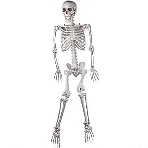 5.4ft/165cm Halloween Skeleton - Halloween Human Skeletons Full Body Bones with Movable Joints for Halloween Props Spooky Party Decoration