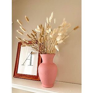 100 Pcs Natural Lagurus Ovatus Rabbit Tail Dried Flowers,17 inch/45 cm Dried Bunny Tails Grass Decor for Home Kitchen Garden Party Photographing Flower Arrangement Vase Decoration