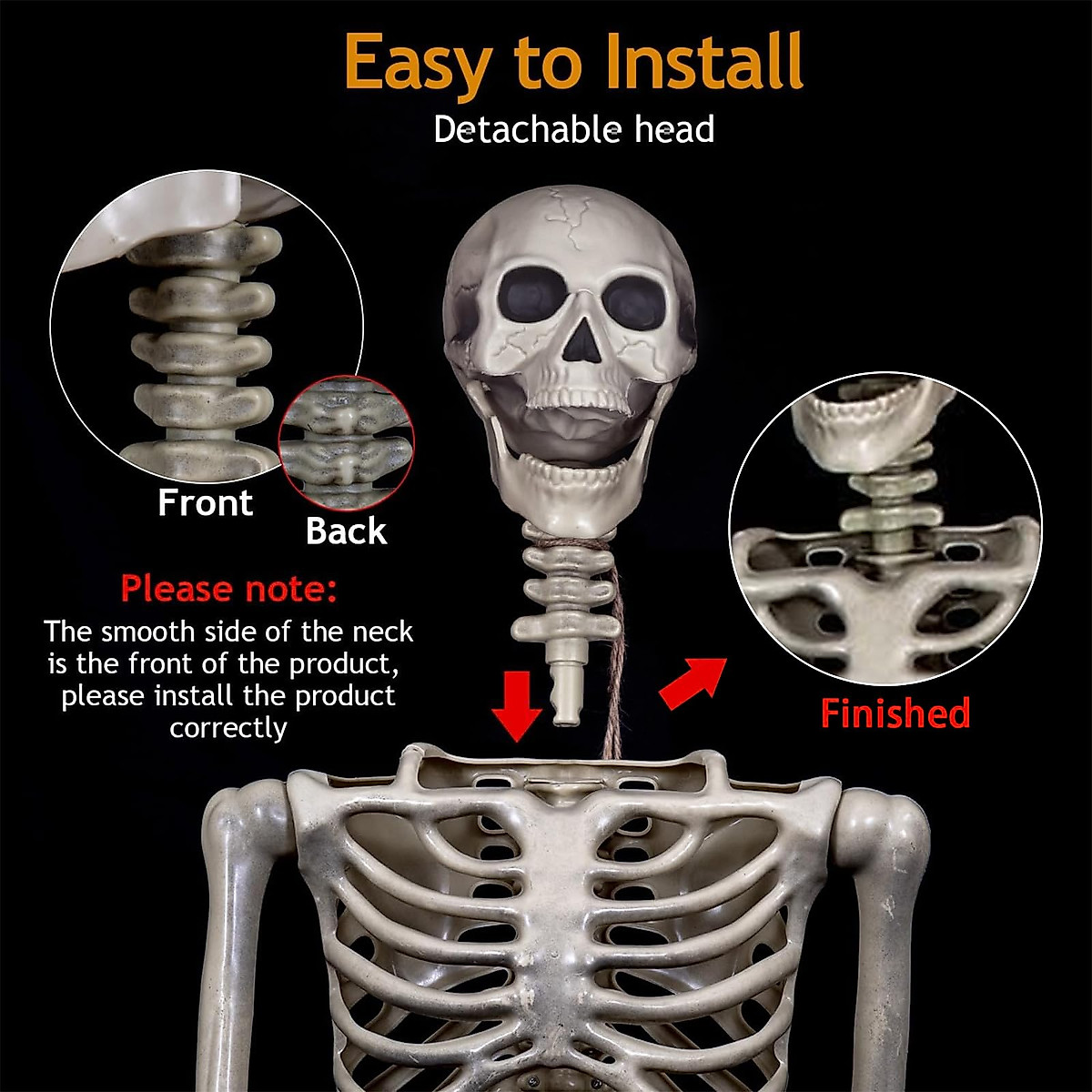 HBSTK 5.5Ft/65 Inches /165cm Pose-N-Stay Halloween Skeleton Life Size Full Body Posable Movable Jonints with 200sqft Strech Cobweb and 50 Small Fake Spiders for Halloween Decoration Decor