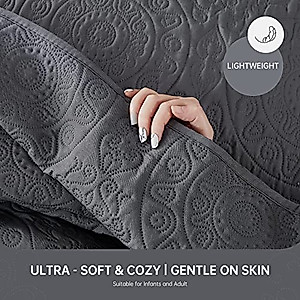 Shanghan Home Grey Quilt Set, 3 Piece King Size Soft Bedspread & Coverlet Set for All Season, Lightweight Coin Pattern Quilt Bedding Set - 100% Microfiber - 104"x94"(1 Quilt, 2 Shams)