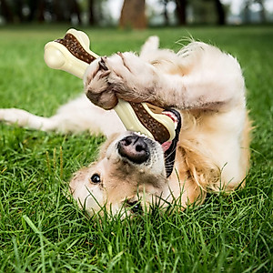 Sosation Beef Flavor Dog Chew Toy, 4 Pcs Nylon Chew Bones for Aggressive Chewers, Large (Dental Health, Large Breeds)