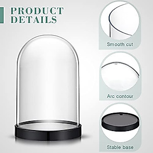 Zhengmy 12 Pcs Plastic Dome Display Case Cloche Bell Jar with Base Clear Decor for Collectibles Rose Office Home Tabletop CenterPc Decor, 5 x 3.3 Inch, Black
