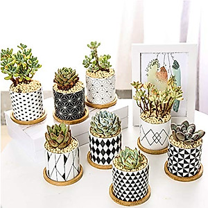 Cabilock Plant pots Ceramic Bonsai pots Ceramic Planter pots Small pots Ceramic Plants Pots Ceramic pots Tiny Plant Succulent pots Mini vases Round vase Simple Flower Pot Desktop Mini Basin