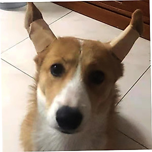 BESPORTBLE 2 Pairs Ear Patch Puppy Dog Ear Cleaner Dog Posting Kit Safety Dog Ear Support Doberman Dog Ear Posting Supplies Ear Forms for Dogs Large Dog Ear Correction Accessory Milk