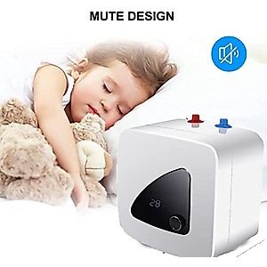 FVSTR Electric Mini-Tank Water Heater, 2.5-Gallon Point of Use for Instant Hot Water, 1440W, 120V - Shelf, Under Sink, Wall or Floor Mounted, Etank Series