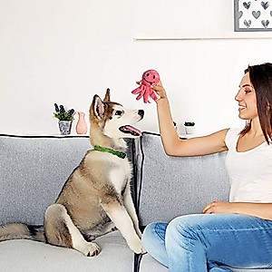 LEGEND SANDY Squeaky Plush Dog Toy Pack for Puppy, Small Stuffed Puppy Chew Toys 12 Dog Toys Bulk with Squeakers, Cute Soft Pet Toy for Small Medium Size Dogs