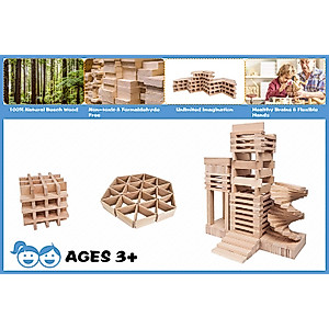 LuckIn 200-Pcs Wood Building Blocks for Kids over 3 Year Old, Structure Wooden Planks Set, Wood Stacking Blocks Brain Builders and Contraptions, STEM Toy for Boys and Girls