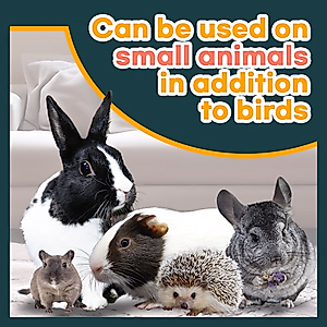 HA SHI Bird Cage Liner - 120 Acid-Free Newsprint Sheets, 31" x 21.5", 5.5 lb - Perfect for Packing, Pet Cages, Non-Toxic & Safe for Birds, Ideal for Crafts, Shipping, Moving