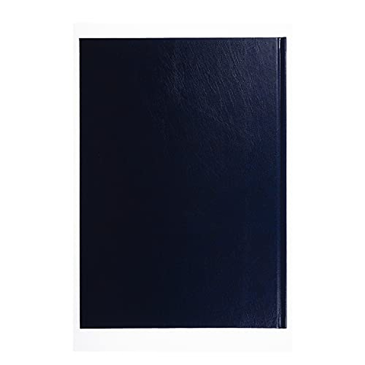 Collins Debden Collins Essential A4 Diary 2024 Daily Planner - 2024 Page A Day Diary, Journal & 2024 Planner - Business, Office, Academic and Personal Use - A4 Size (Blue)