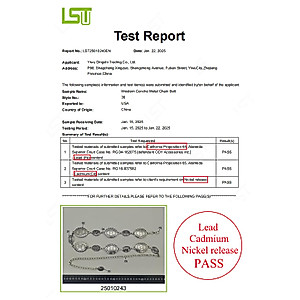 TOPACC Western Metal Oval Concho Chain Belt for Women Silver Cowgirl Belt for Dresses Jeans Country Concert Outfit