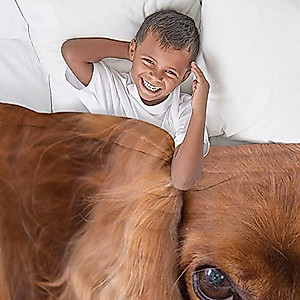 CafePress Sweet Friend Ruby Cavalier King Charles Spaniel Sh Sherpa Fleece Throw Blanket