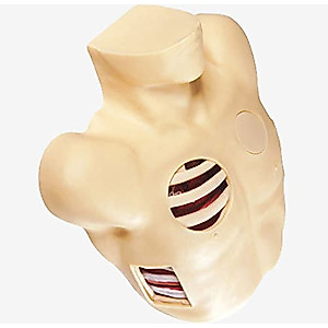 SHENGANG Model Medical Teaching of Thoracic Puncture and Drainage,Pneumothorax Fluid Closed Thoracic Treatment Model,Anatomical Drilling Training Model