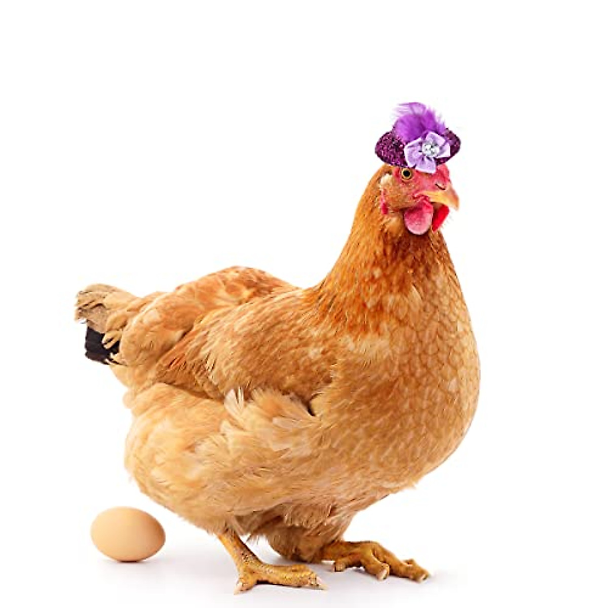 Chicken Hats for Hens Tiny Pets, Chicken Bird Accessories Feather Top Hat with Adjustable Elastic Strap Rooster Duck Parrot Poultry Show Costume (Violet)