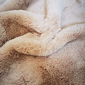 Ghouse Ultra Soft Faux Rabbit Fur Rug 2x3, Machine Washable Area Rugs for Bedroom Fluffy Rugs for Living Room, no-Shedding Carpet Sheepskin Rug Beige