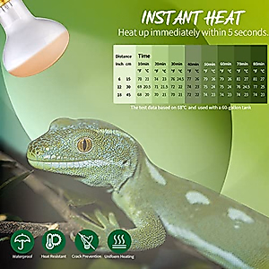 FIVEAGE 100W Sun Basking Spot Lamp UVA Glass Reptile Heat Bulb Soft White Light for Reptile & Amphibian - 2 Pack