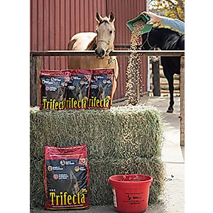 Trifecta 10 lb, 4 Equine Vitamin Minerals in 1 Complete Supplement
