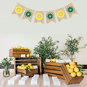 Uniwish Lemon Slices Banner Garland Lemonade Stand Decorations Lemon Theme Bridal Shower Birthday Hanging Bunting Home Outdoor Decor