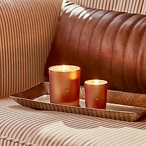 Thymes Pumpkin Laurel Votive Candle - Scented Candle for Home Fragrance - with Warm Vanilla, Spicy Cinnamon, Nutmeg, and Creamy Caramel - Single-Wick Candle (2 oz)