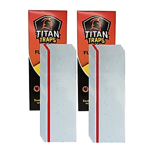 Window Fly Traps by Titan Traps - Sticky Fly Paper, Window Bug Catcher, Indoor Fly Trap, Fly Paper Bug Sticky Strips, Window Fly Strips, Bug Sticky Trap - 30 Disposable Fly Traps (2 Pack)