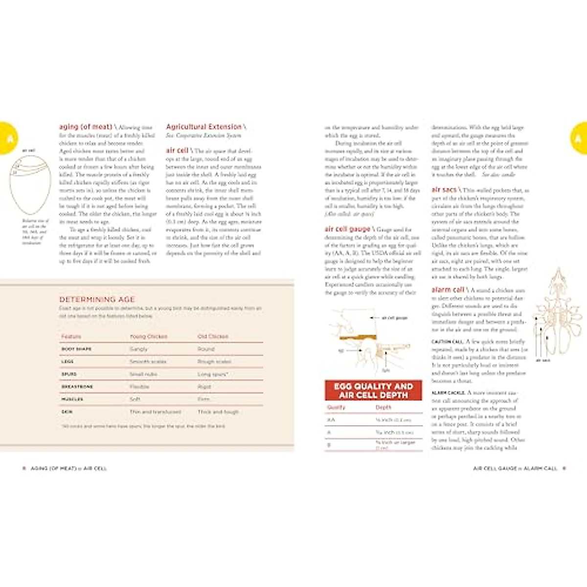 The Chicken Encyclopedia: An Illustrated Reference