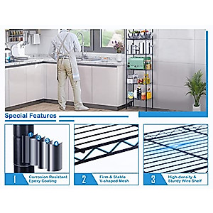 BIQWBIC 6 Tier Storage Shelf Wire Shelving Unit, Adjustable Shelves Standing Metal Storage Rack for Kitchen Pantry Closet, Steel Storage Shelves Display Organizer Rack, 17" Lx12 Wx63 H, Black