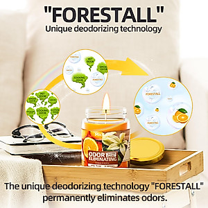 MicCai Orange & Vanilla Odor Eliminating Candles for Home Scented, Eliminates 99% of Pet, Smoke, Food and Other Smells Quickly, Highly Scented Candle, Premium Soy Candles Set for Women