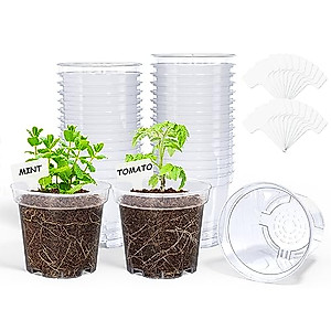homenote Clear Nursery Pots for Plants,4 Inch Seedling Pots with Drainage Holes Plant Pot for Planting Flower Indoor Seed Starter Pots Outdoor High Transparency with Bonus 20 Plant Labels (30 Packs)