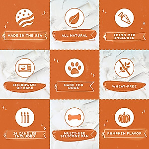 Puppy Cake Mix Dog Birthday Cake Kit, with Bone Silicone Pan and Candles (Pumpkin, Blue) Made in USA