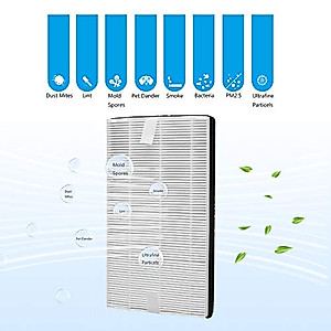 WOCASE F1 Advanced Allergen Reduction, Compatible with 3M Filtrete C01 T02 Room Air Purifier,H13 Medical Grade HEPA Replacement Filter, 2 Pack