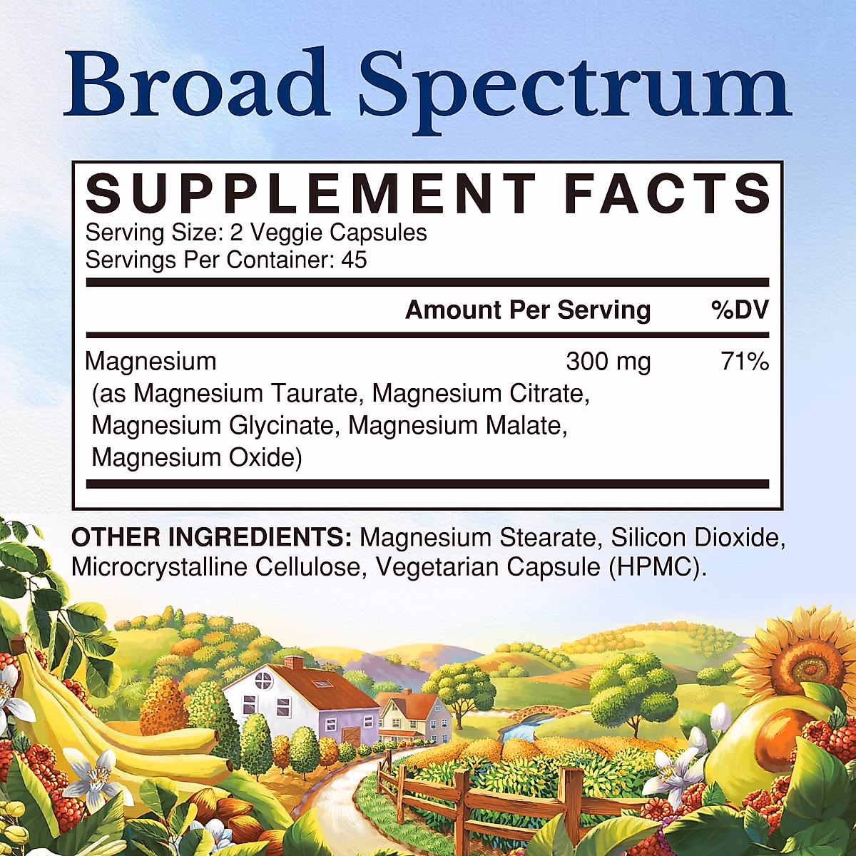 Vitalitown Magnesium Complex Supplement | 300mg Elemental Magnesium | Magnesium Citrate Glycinate Taurate Malate | Non-GMO, No Gluten, 90 Vegan Magnesium Capsules for Bone Muscle Brain Heart