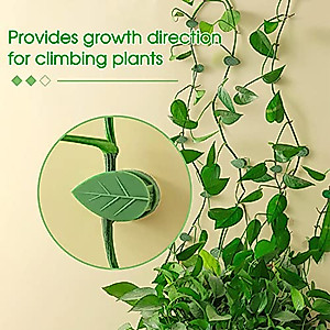 30 Pcs Plant Climbing Wall Fixture Clip Self-Adhesive Hook Vines Traction Invisible Stand Green Leaf Plant Clip Garden Wall Clip Plant Clip for Climbing Plants